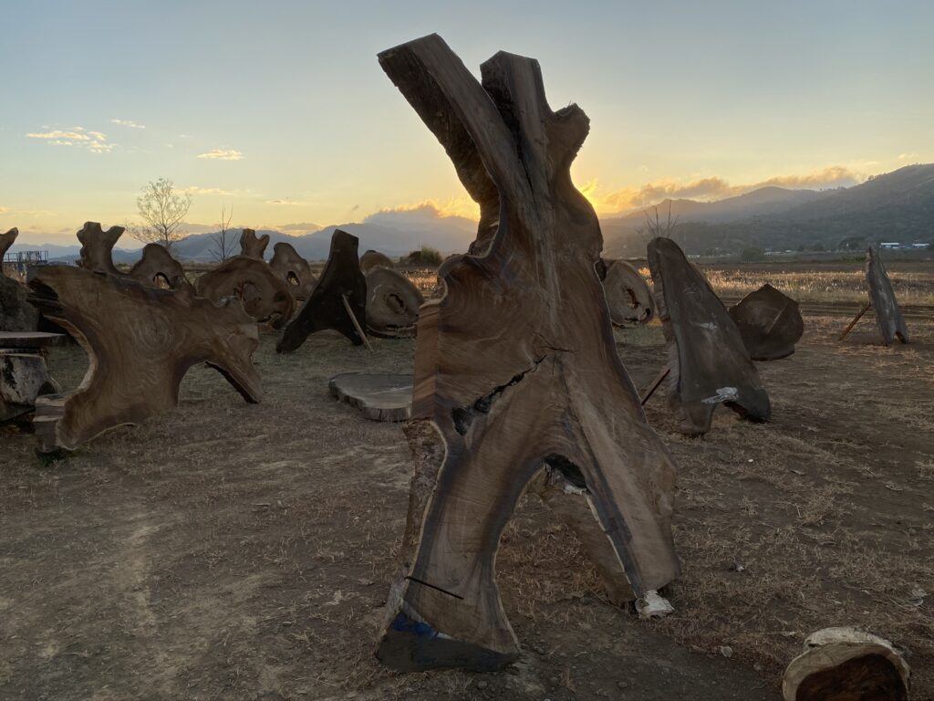 Contact – ECOMUNDO